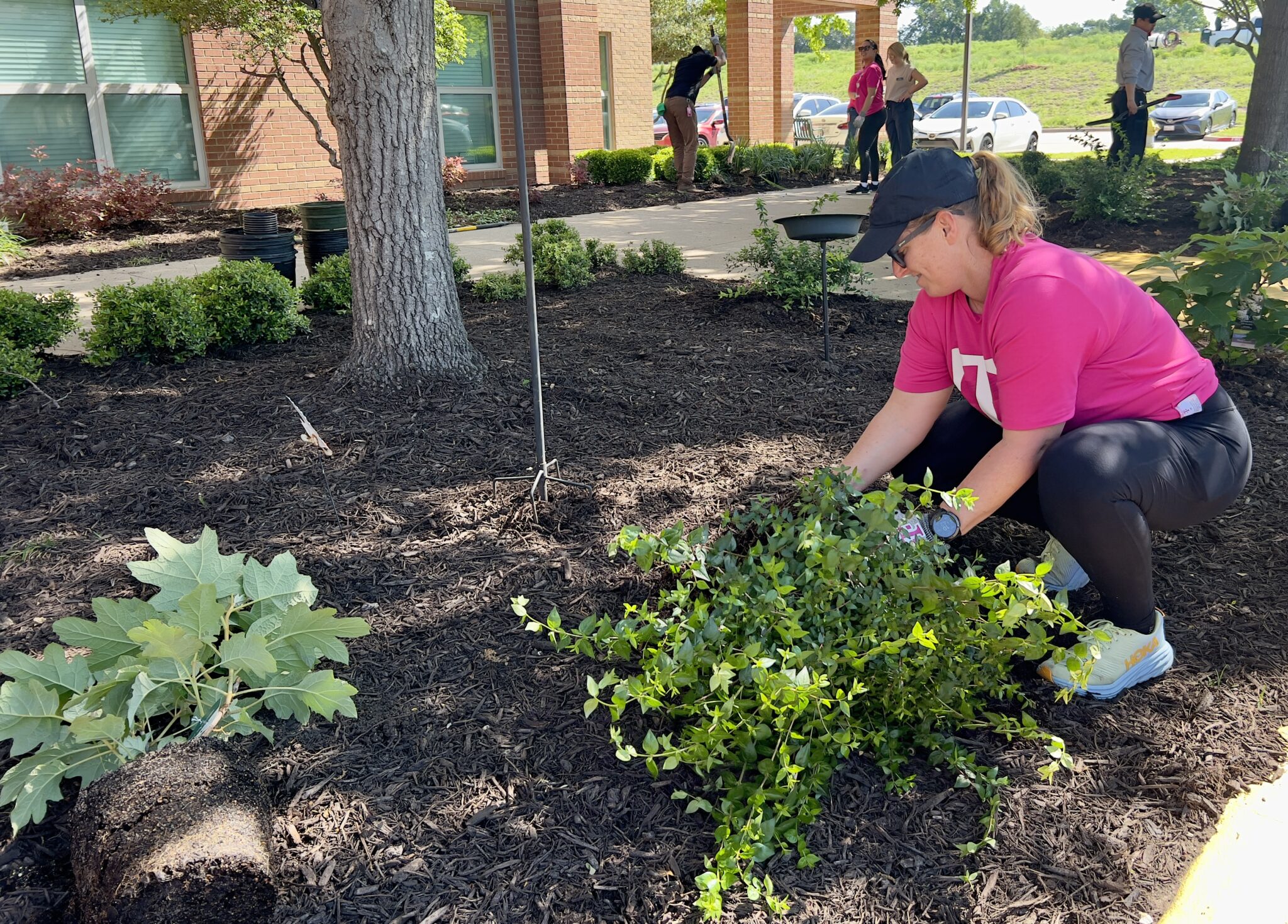 Rooted in Community: PVN Hosts Intergenerational EartH Day Tree ...